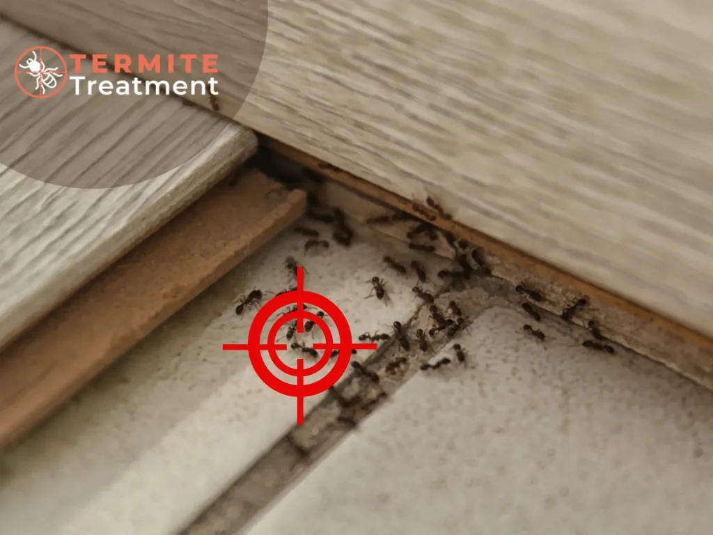 How to Clean Up Dead Ants: A Comprehensive Guide